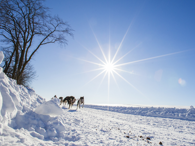 IL MEGLIO DELL'INVERNO IN CANADA - Il Blog di GMV